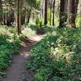 Myrtle Lake via Entiat River and Cow Creek Trail, Washington - 55 ...