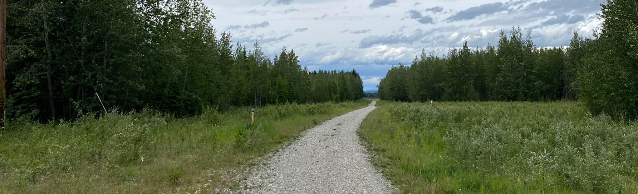Moose Creek Bluff Trail, Alaska - 62 Reviews, Map | AllTrails