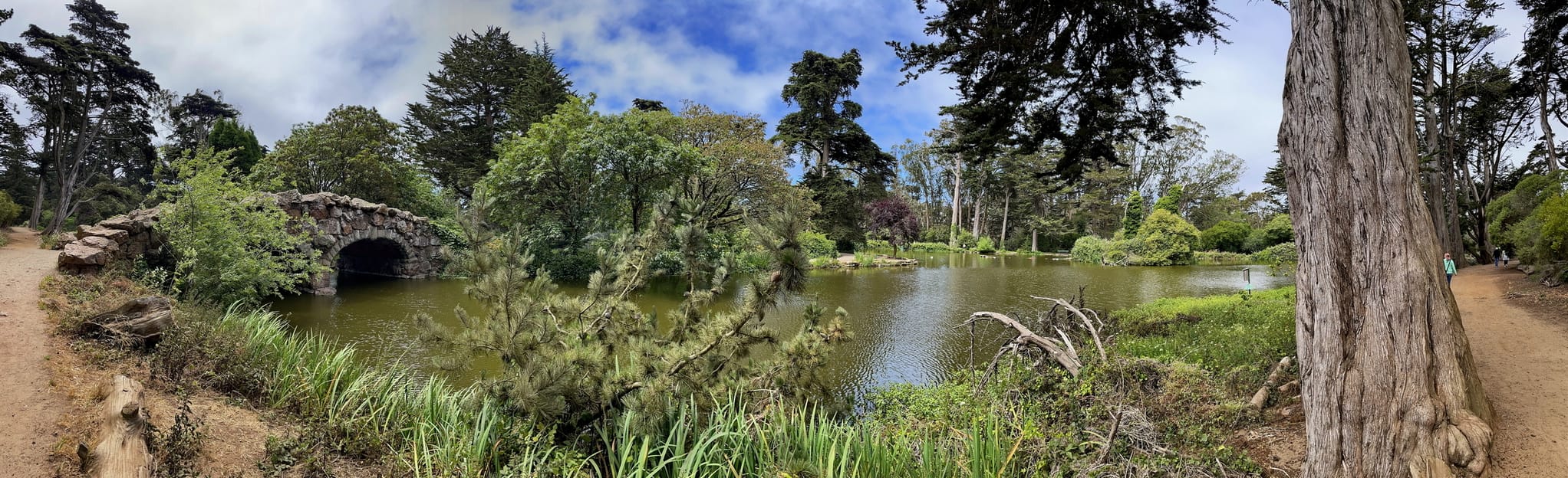 Golden Gate Park Loop: 1106 Reviews, Map - California | AllTrails
