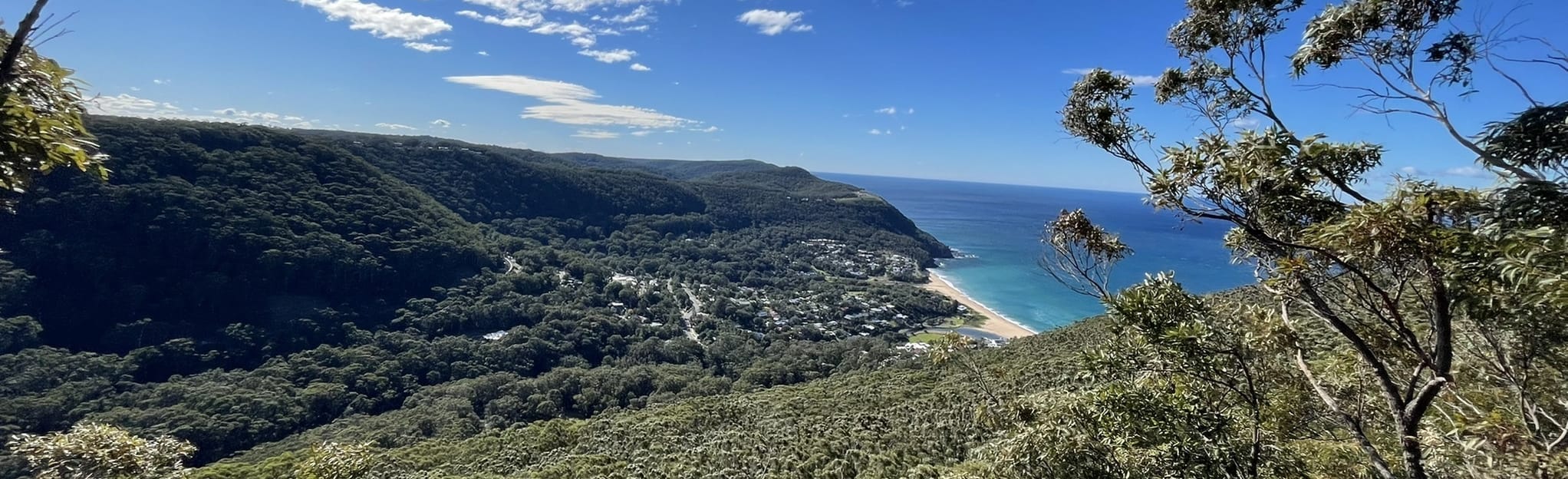 Mount Mitchell via Wodi Wodi Track: 432 foto's - Nieuw-Zuid-Wales ...