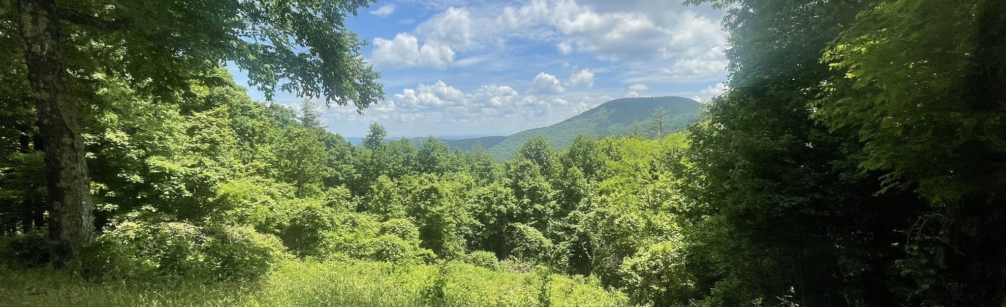 Bartram Trail (Full): 31 Reviews, Map - North Carolina | AllTrails