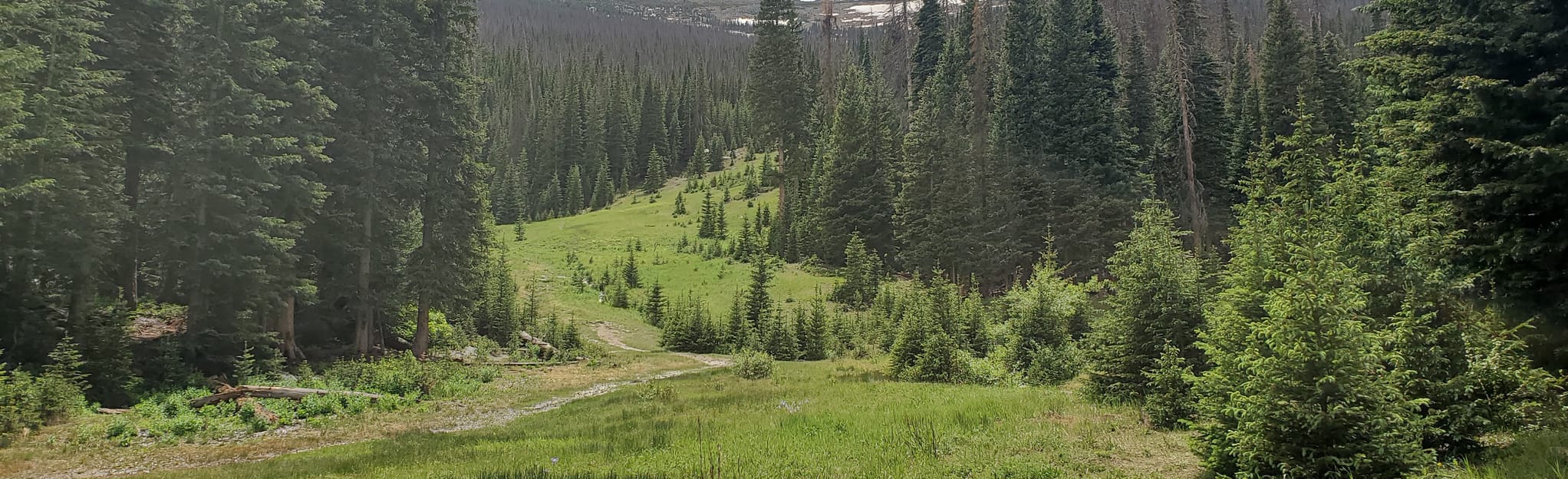 Hidden Valley: 110 Reviews, Map - Colorado | AllTrails