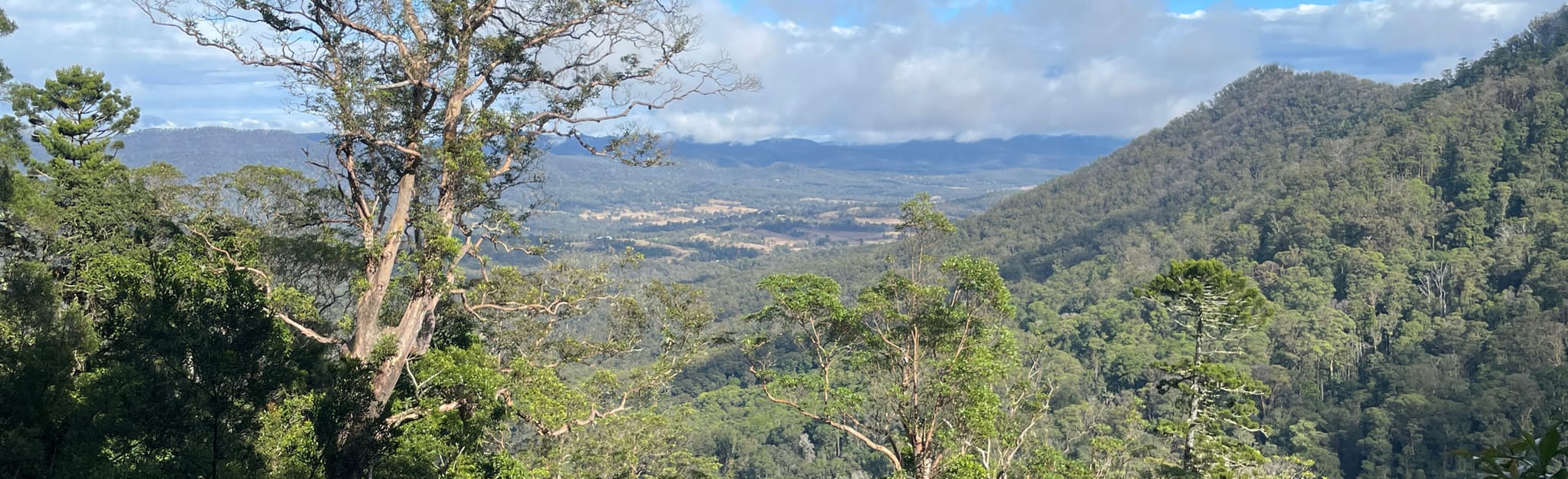 Mount Cordeaux Track, Queensland, Australia - 458 Reviews, Map | AllTrails