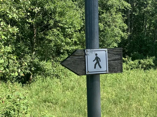 Best Hikes and Trails in Pape Nature Park | AllTrails