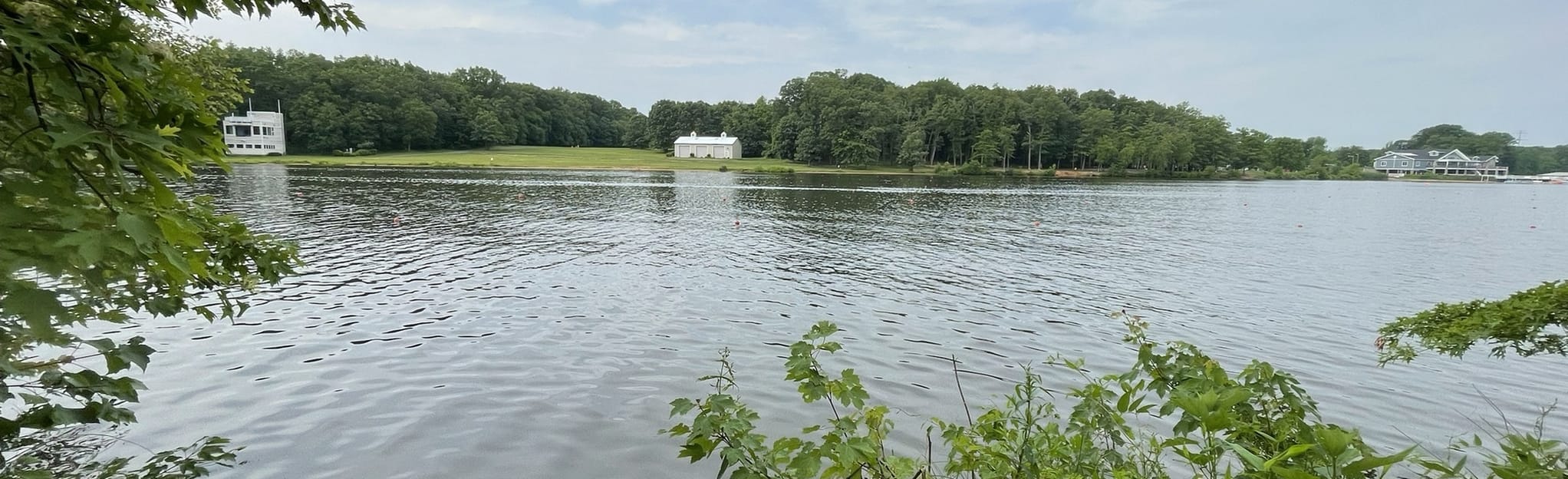 Mercer Park Blue Trail: 161 Reviews, Map - New Jersey | AllTrails