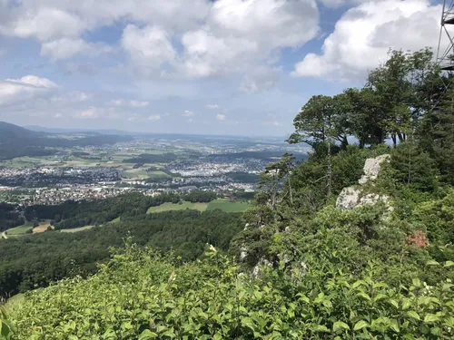 10 Best Trails and Hikes in Basel-Country | AllTrails