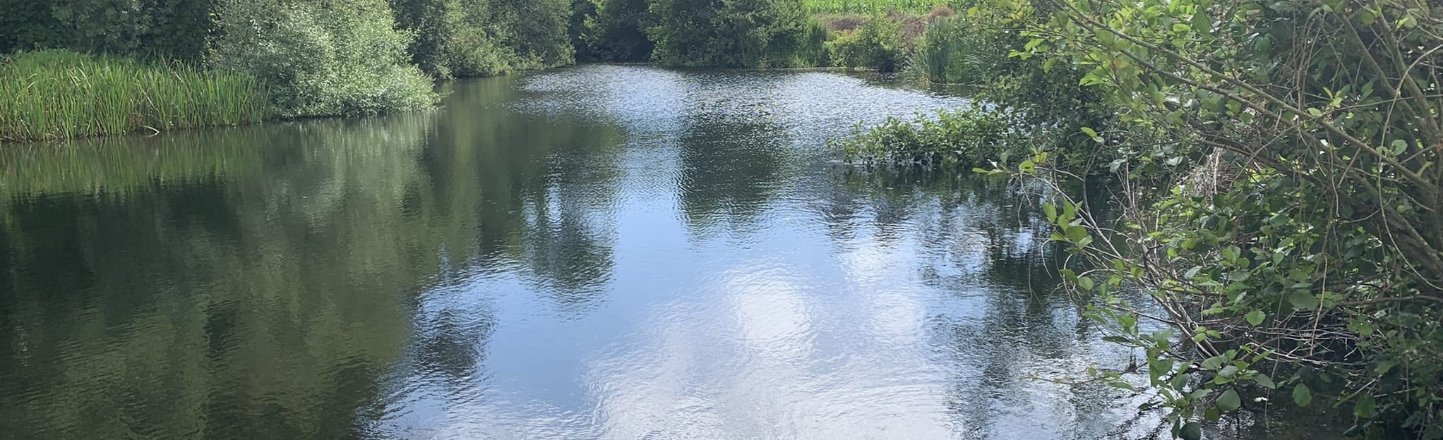 VPN04 - Rota Circular do Rio Cávado e Castelo do Neiva - Braga ...