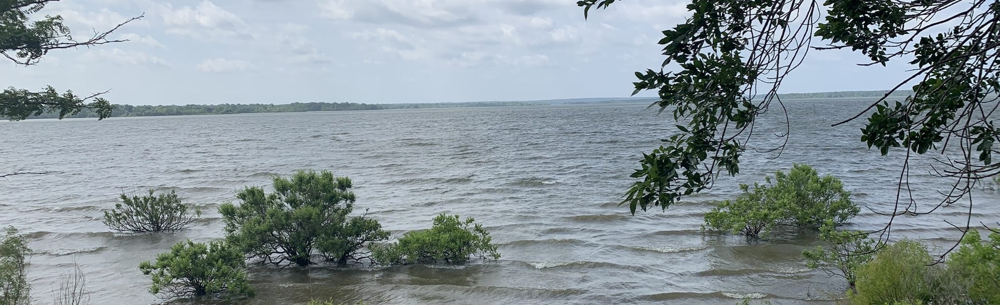 Bernice Area Grand Lake, Oklahoma - 51 Reviews, Map | AllTrails