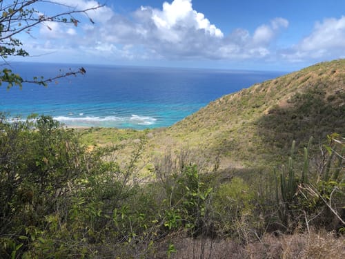 2023 Best 10 Trail Running Trails in Antigua | AllTrails