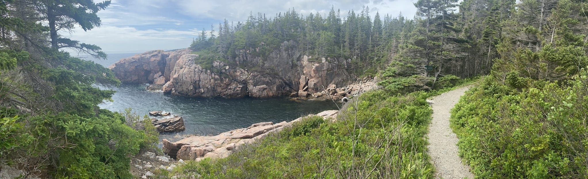 Jack Pine Loop, Nova Scotia, Canada - 168 Reviews, Map | AllTrails
