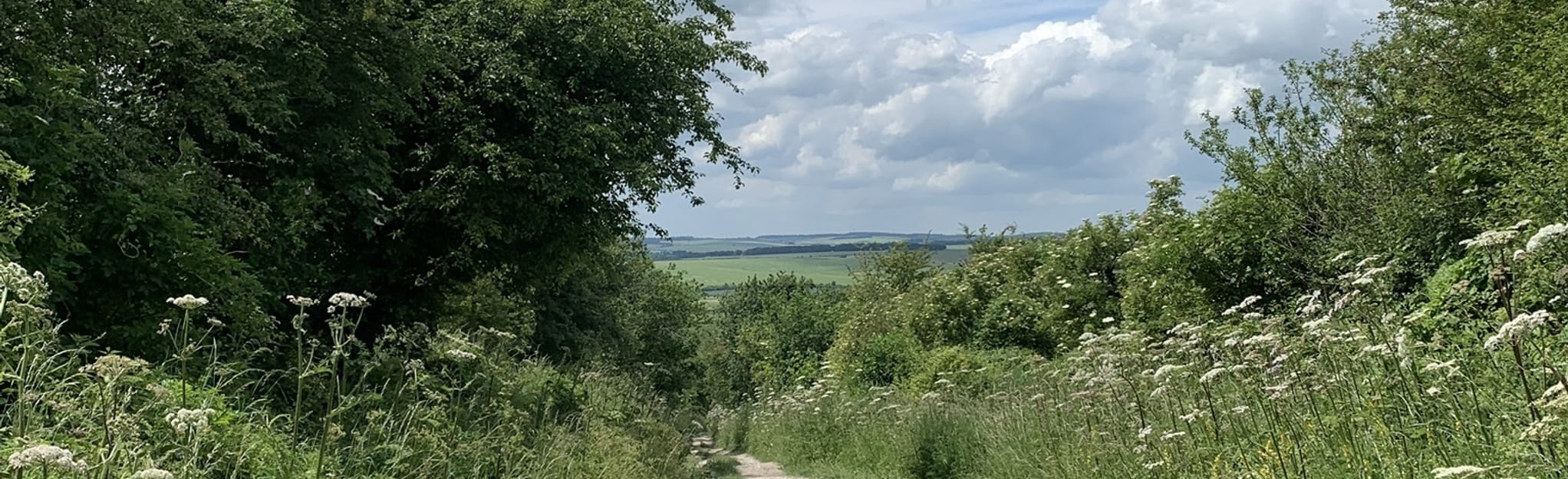 Aldworth and The Battle of Ashdown: 7 Reviews, Map - Berkshire, England ...