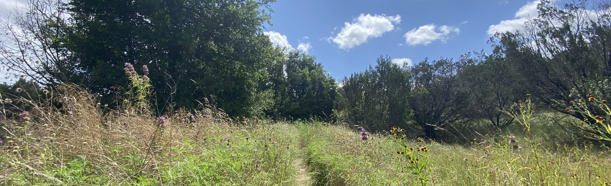 Cedar Brake Outer Loop, Texas - 639 Reviews, Map | AllTrails