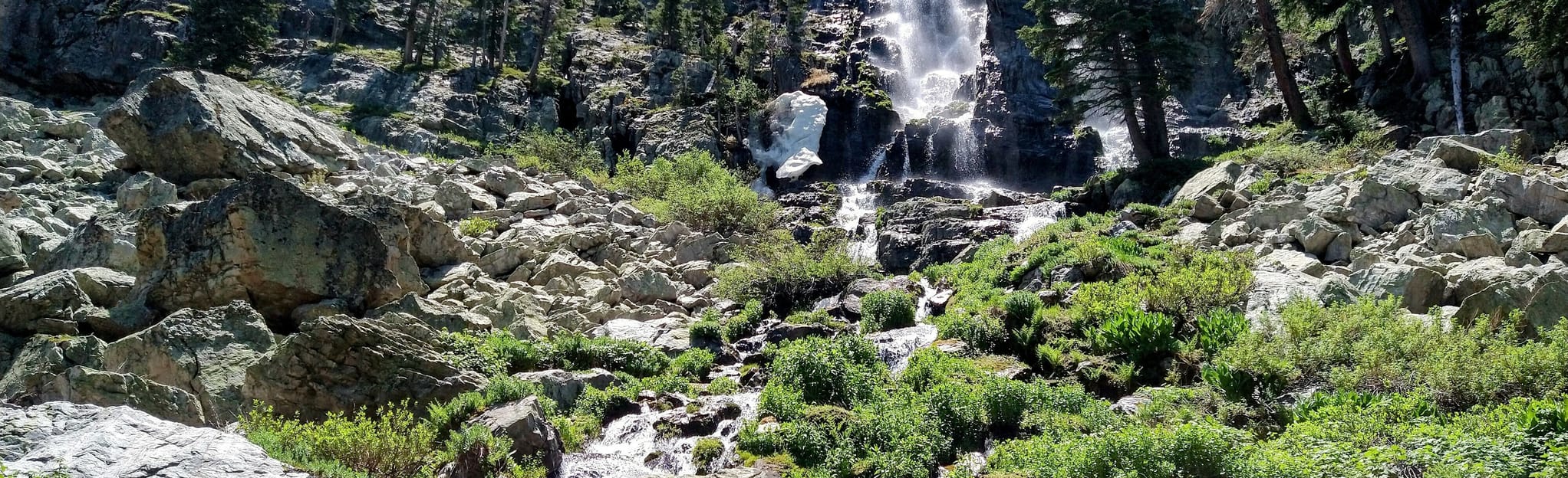 Quemado Falls via FS Road 435: 6 Reviews, Map - New Mexico | AllTrails