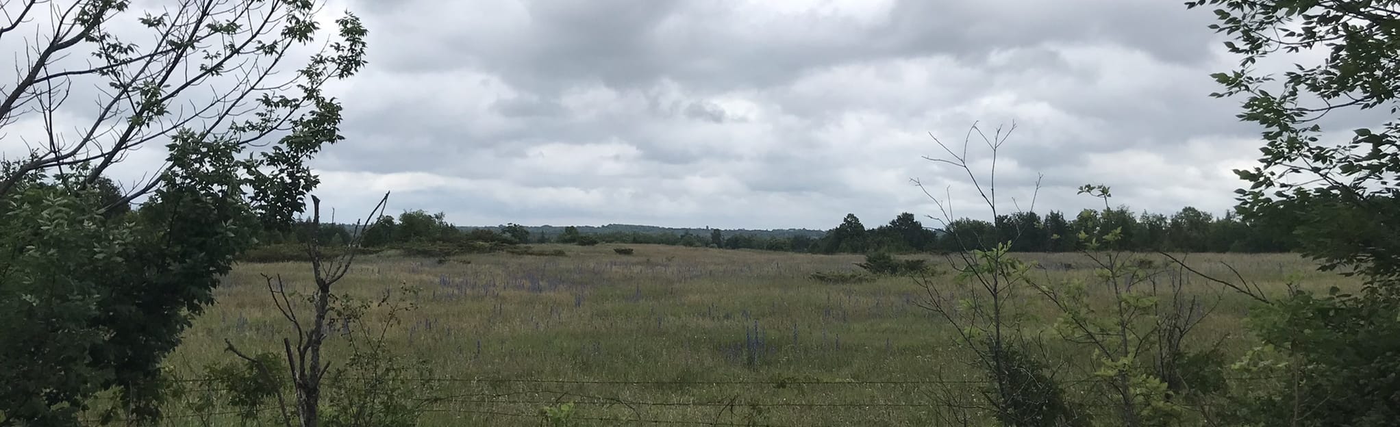 Victoria Rail Trail: Fenelon Falls to Cameron: 14 Reviews, Map ...