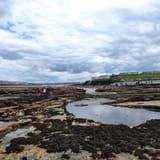 Kilkee Cliff Walk, County Clare, Ireland - 163 Reviews, Map | AllTrails