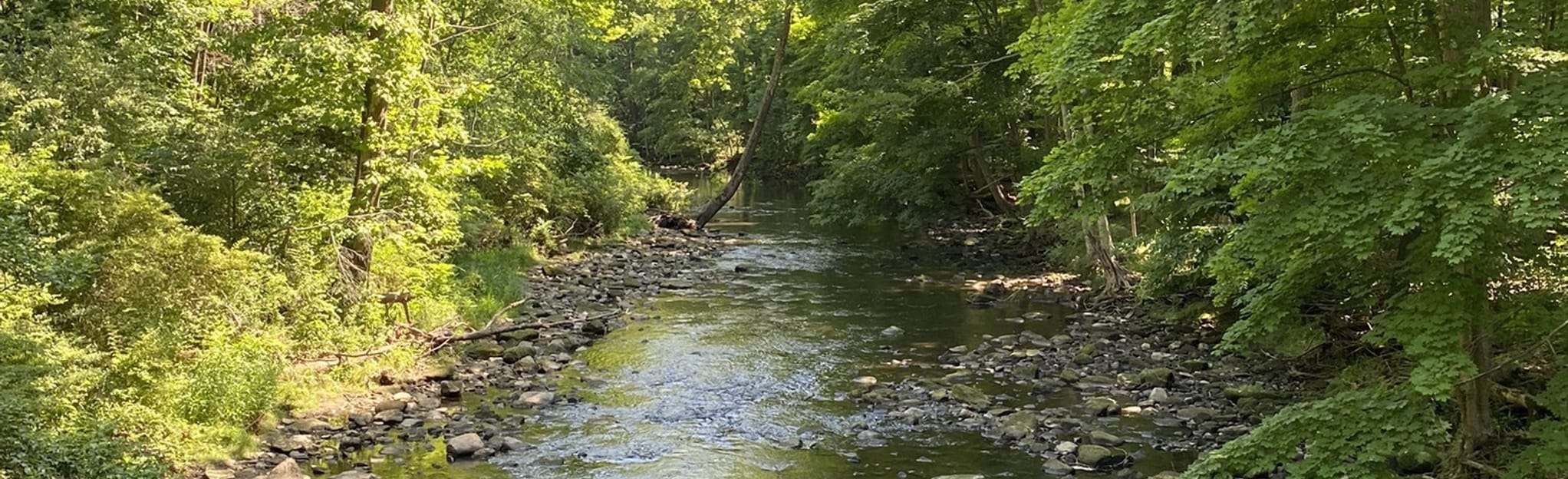 Cascade Gorge Trail, Ohio - 34 Reviews, Map | AllTrails