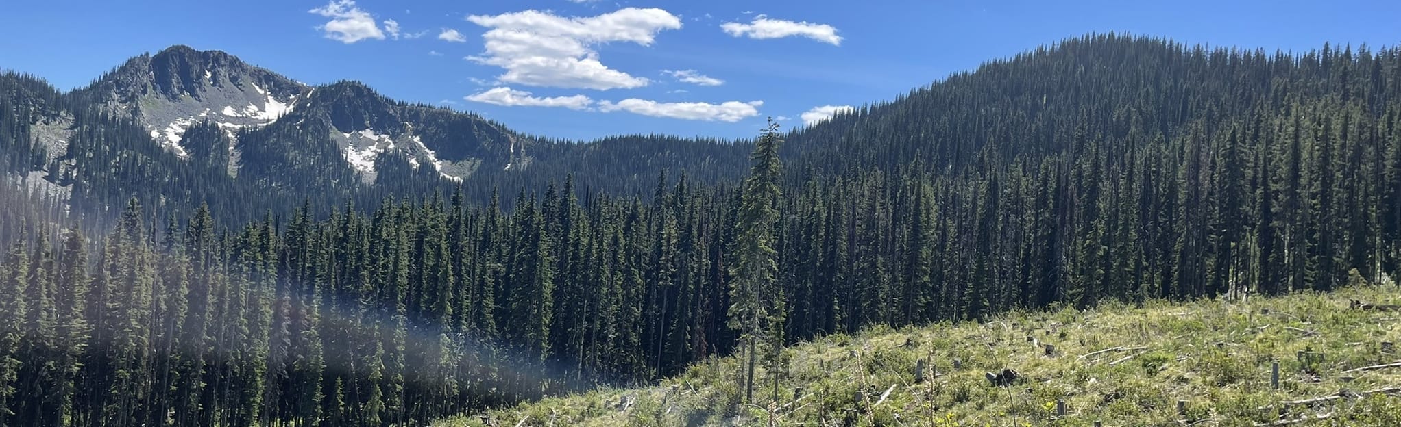 Toad Mountain via Upper Powerslave: 12 Reviews, Map - British Columbia ...