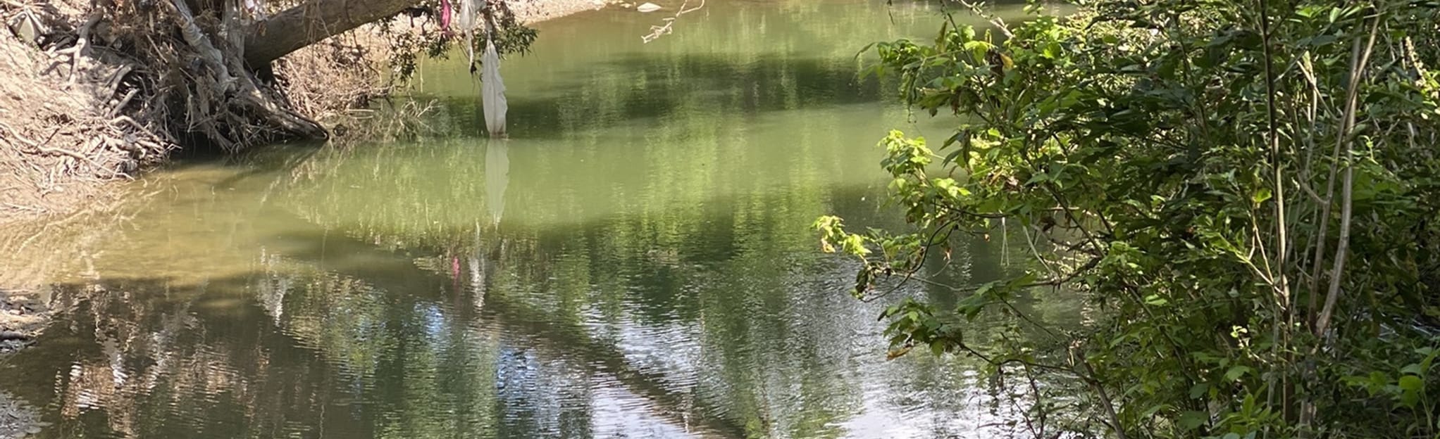 Harry Moss Trail: 412 Reviews, Map - Texas | AllTrails