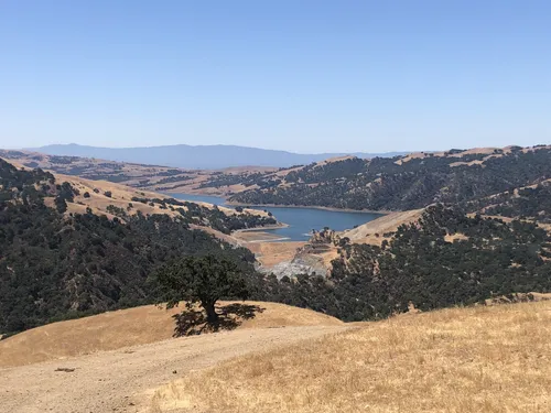 10 Best Hikes and Trails in Sunol Wilderness Regional Preserve | AllTrails