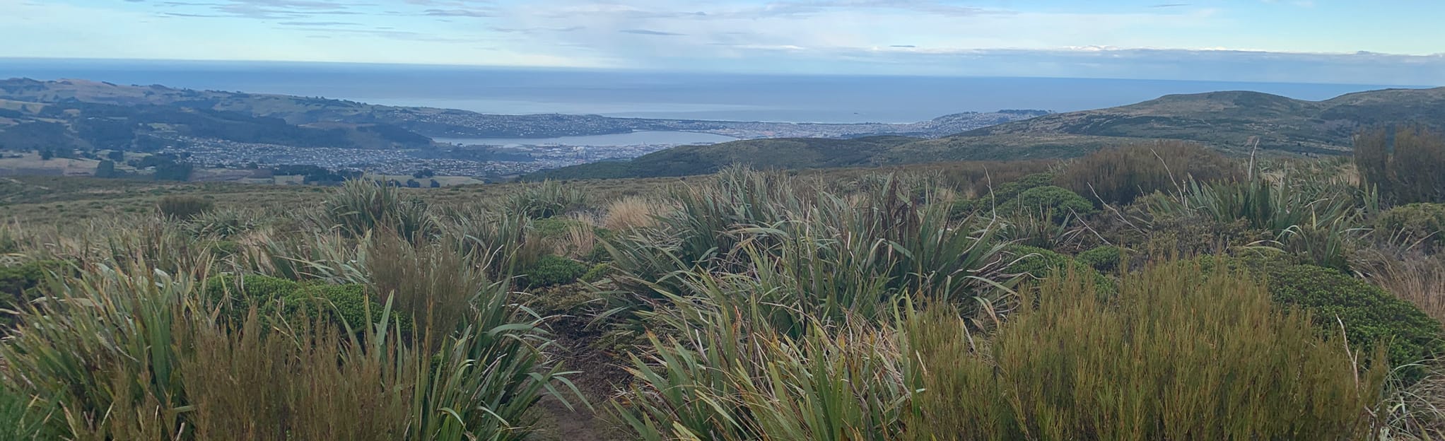 Swampy Summit, Burns Creek, and Leith Saddle Loop, Otago, New Zealand ...