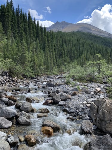 2023 Best Hot Springs Trails in Jasper National Park | AllTrails