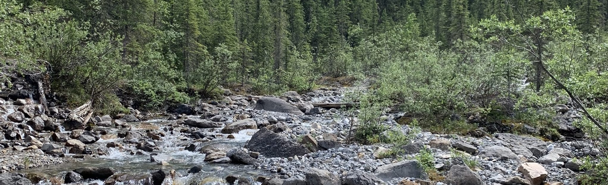 Source of the Springs Trail, Alberta, Canada - 35 Reviews, Map | AllTrails