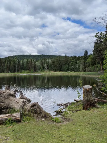 Best Hikes and Trails in Isobel Lake Recreation Site | AllTrails