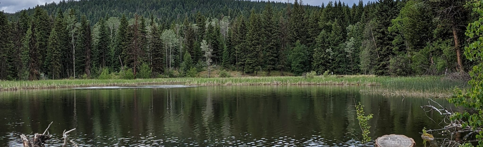 Isobel Lake Interpretive Trail, British Columbia, Canada - 65 Reviews ...