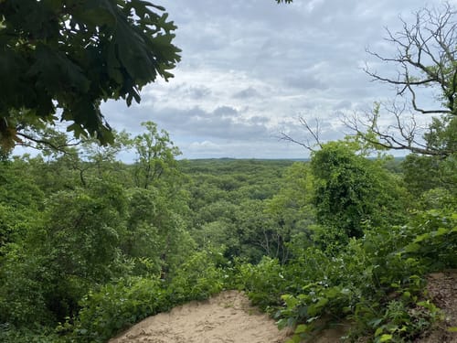 Best 10 Off Road Driving Trails in Indiana | AllTrails