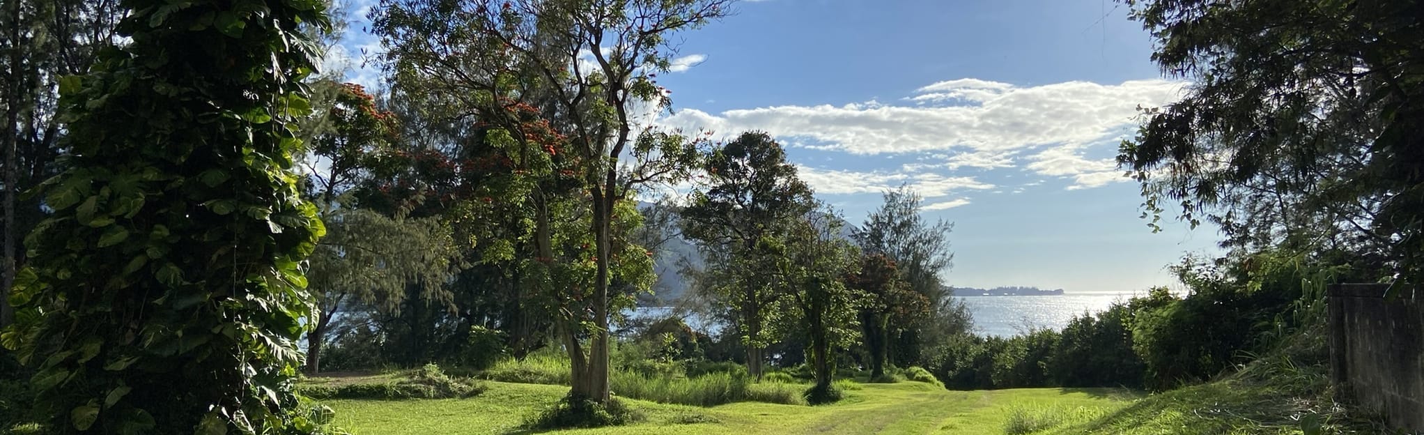 Puu Poa Beach, Kaua'i, Hawaii - 501 Reviews, Map | AllTrails