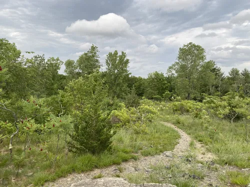 Best 10 Hikes And Trails In Middlesex Fells Reservation Alltrails