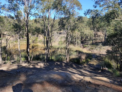 Best Hikes and Trails in Currambene State Forest | AllTrails