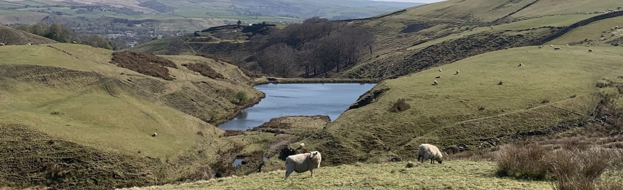 Littleborough and Wardle Water Grove Circular: 270 fotos - Gran ...