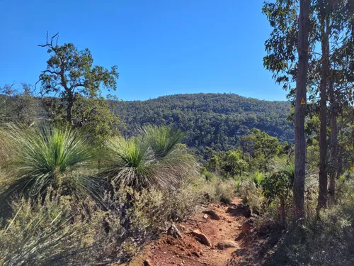 10 Best Trails and Hikes in Perth | AllTrails
