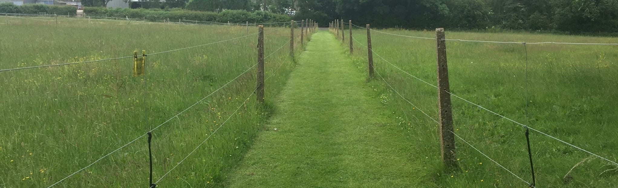 Eakring - Dukes Wood, Mansey Common Circular: 49 foto's ...
