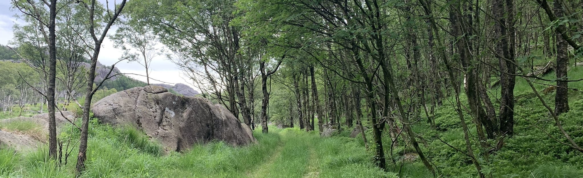 Gamle postvei fra Åvendal til Rekedal, Rogaland, Norway - Map, Guide ...