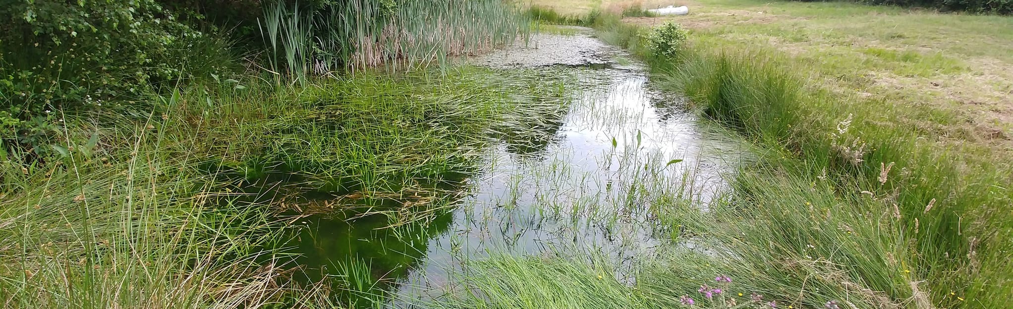 Sprimont Promenade n°3: 9 Reviews, Map - Liège, Belgium | AllTrails