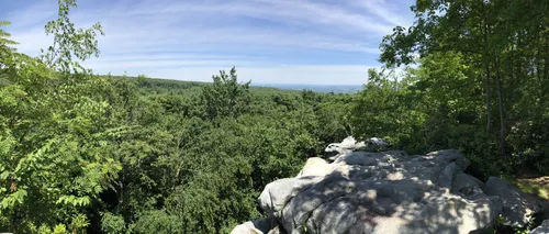 Best Hikes and Trails in Laurel Ridge State Park | AllTrails