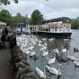 Windsor and Eton via The Thames Path Circular, Berkshire, England - 174 ...