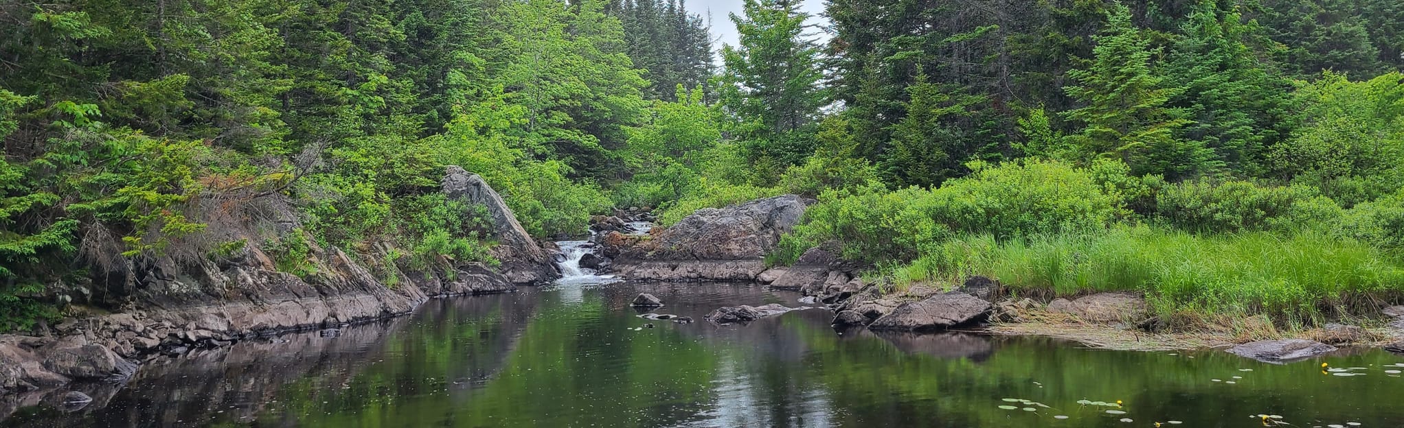 Fundy East Branch Trail, New Brunswick, Canada - 103 Reviews, Map ...