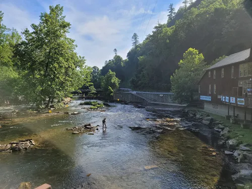 2023 Best 10 Trails and Hikes in Topton | AllTrails