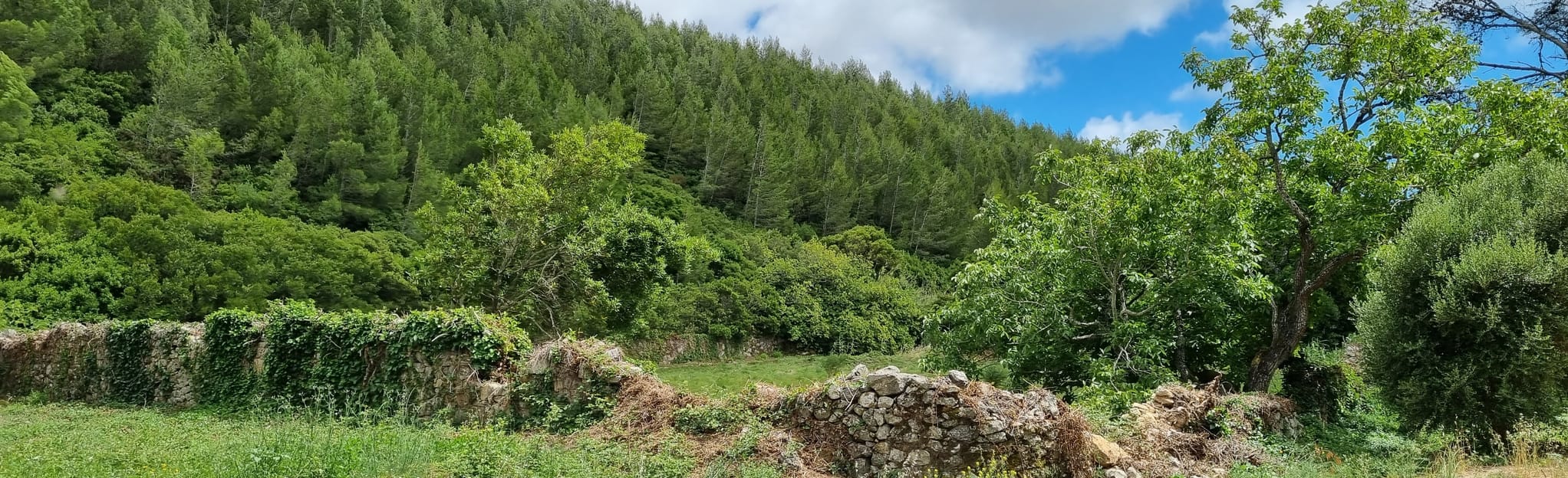 Forte do Guincho - Malveira da Serra - Praia do Guincho: 14 Reviews ...