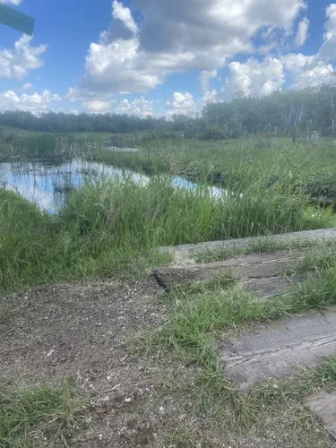 2023 Best Trails, Walks, and Paths in Neudorf | AllTrails