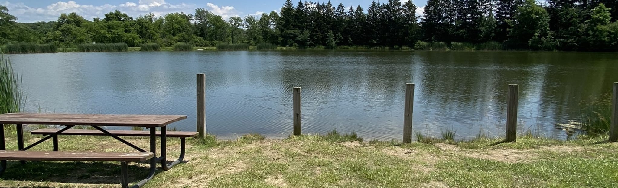 Ledge Lake Loop via Buckeye Trail, Ohio - 356 Reviews, Map | AllTrails