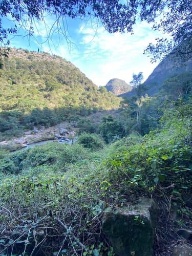 Bedste ruter i Enseleni Nature Reserve | AllTrails