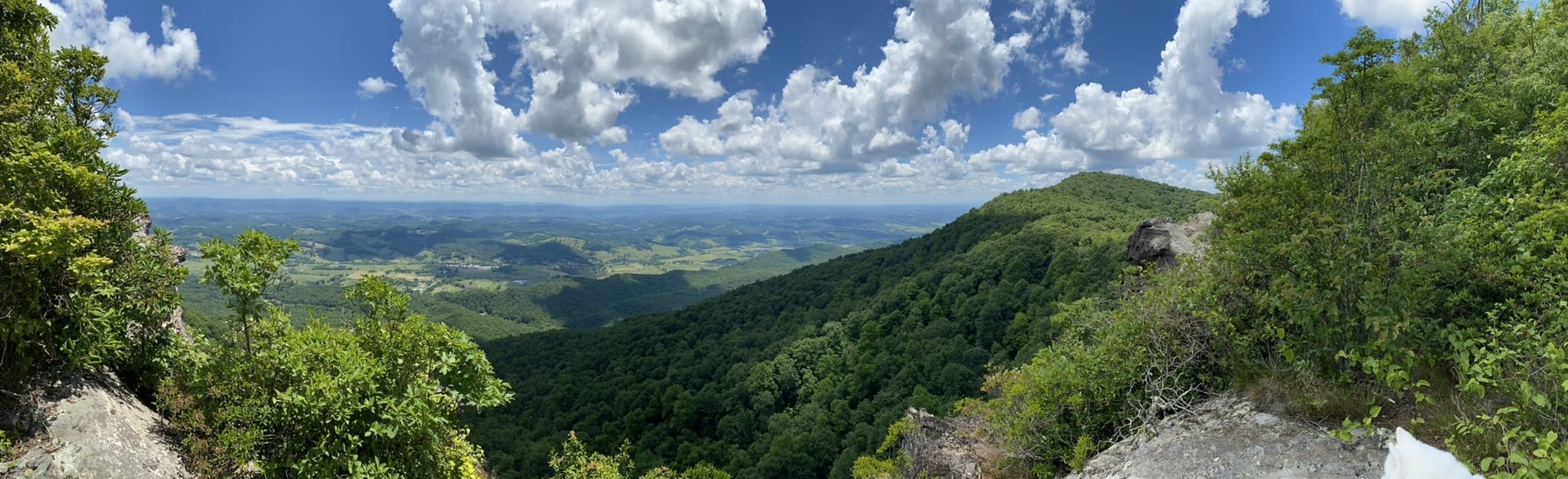 White Rocks, Virginia - 218 Reviews, Map | AllTrails