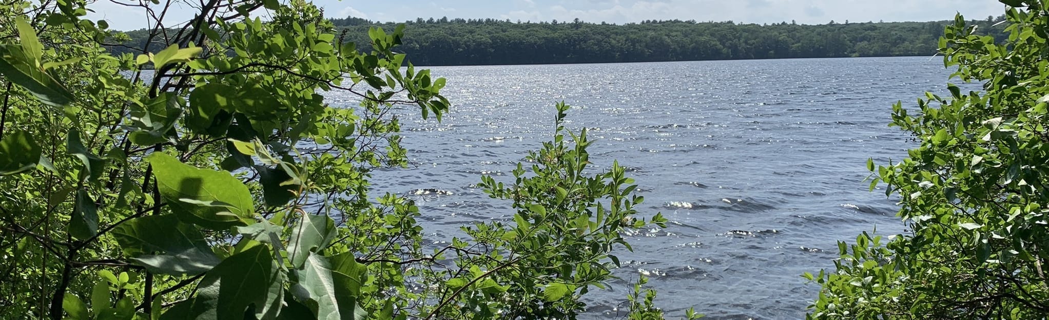 Sandy Pond East Loop, Massachusetts - 53 Reviews, Map | AllTrails