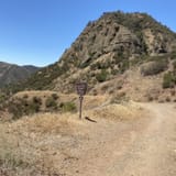Harding Truck Trail, California - 249 Reviews, Map | AllTrails