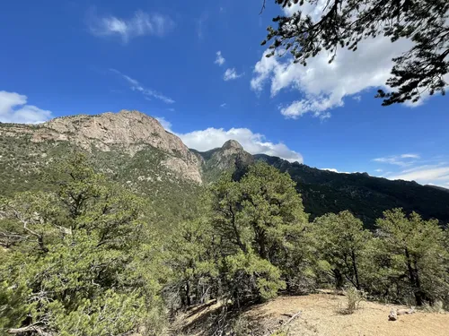 10 Best Waterfall Trails in Sandia Mountain Wilderness | AllTrails