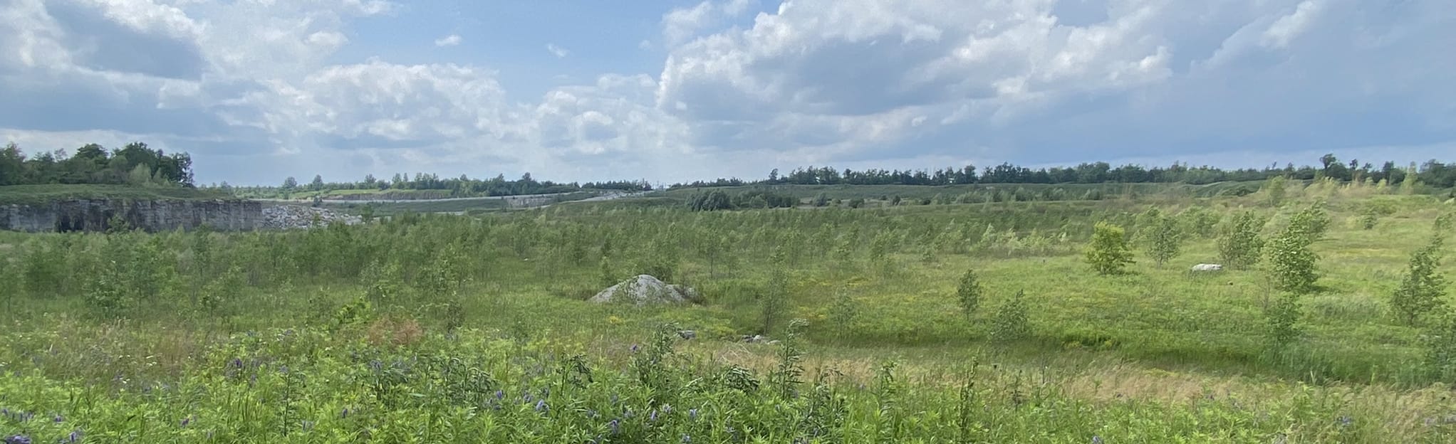 AllTrails | Canada Goose Side Trail Loop: 235 Reviews, Map - Ontario ...